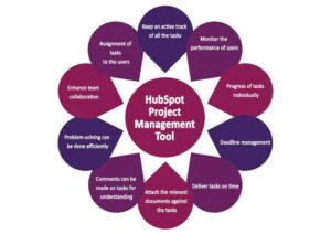 Ways How HubSpot Management Tool Give Wings to Business Growth | Techloyce